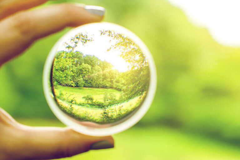Low Vision Columbus Macular Degeneration LaGrange West Georgia Low Vision Columbus Macular Degeneration LaGrange West Georgia